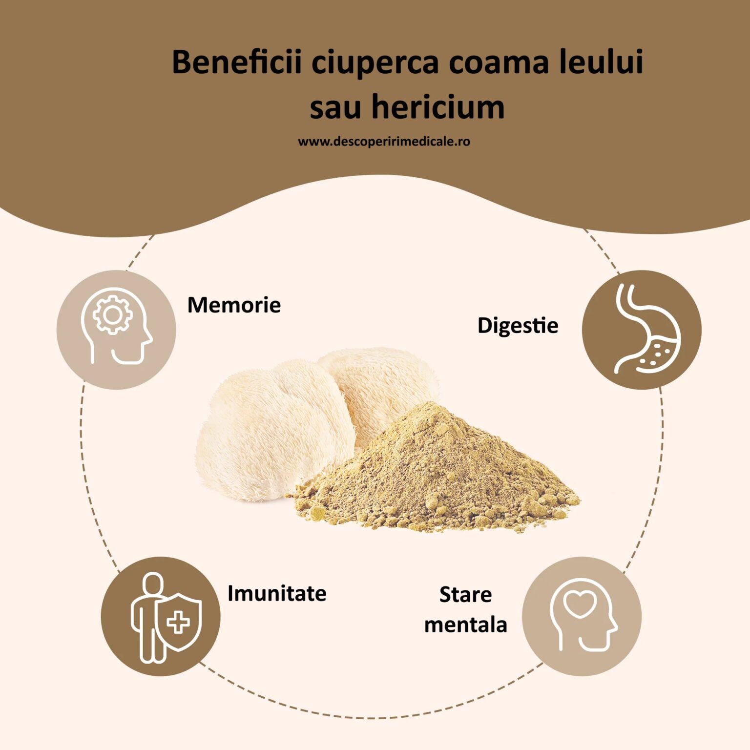 Coama leului - suplimente, beneficii si contraidincatii