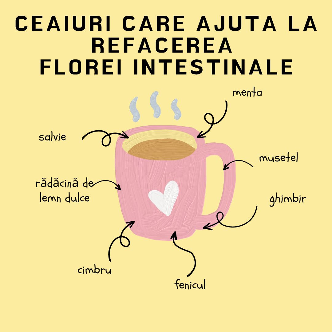 Ceaiuri care refac flora intestinala